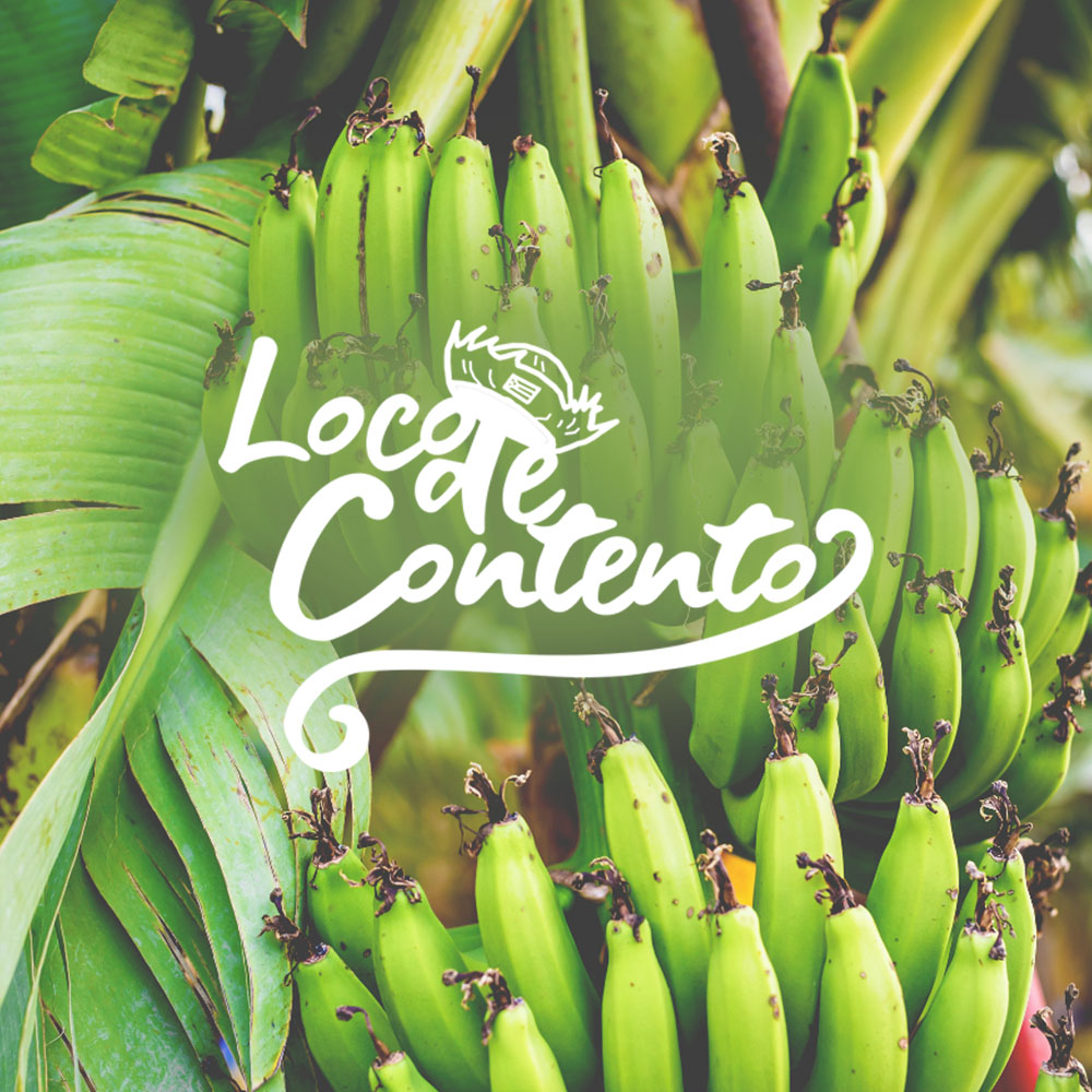 ¿Quién es Loco de Contento? - Loco de Contento