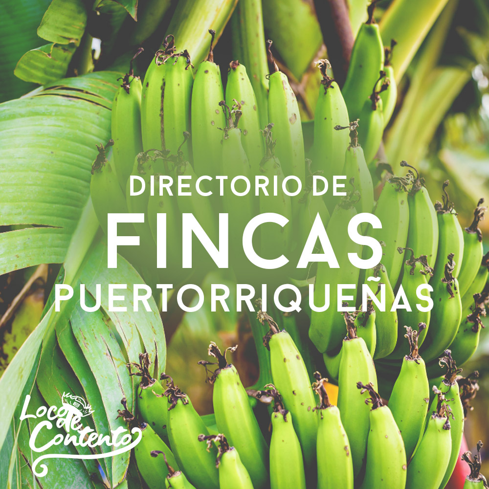 Conoce las Fincas de Puerto Rico - Loco de Contento